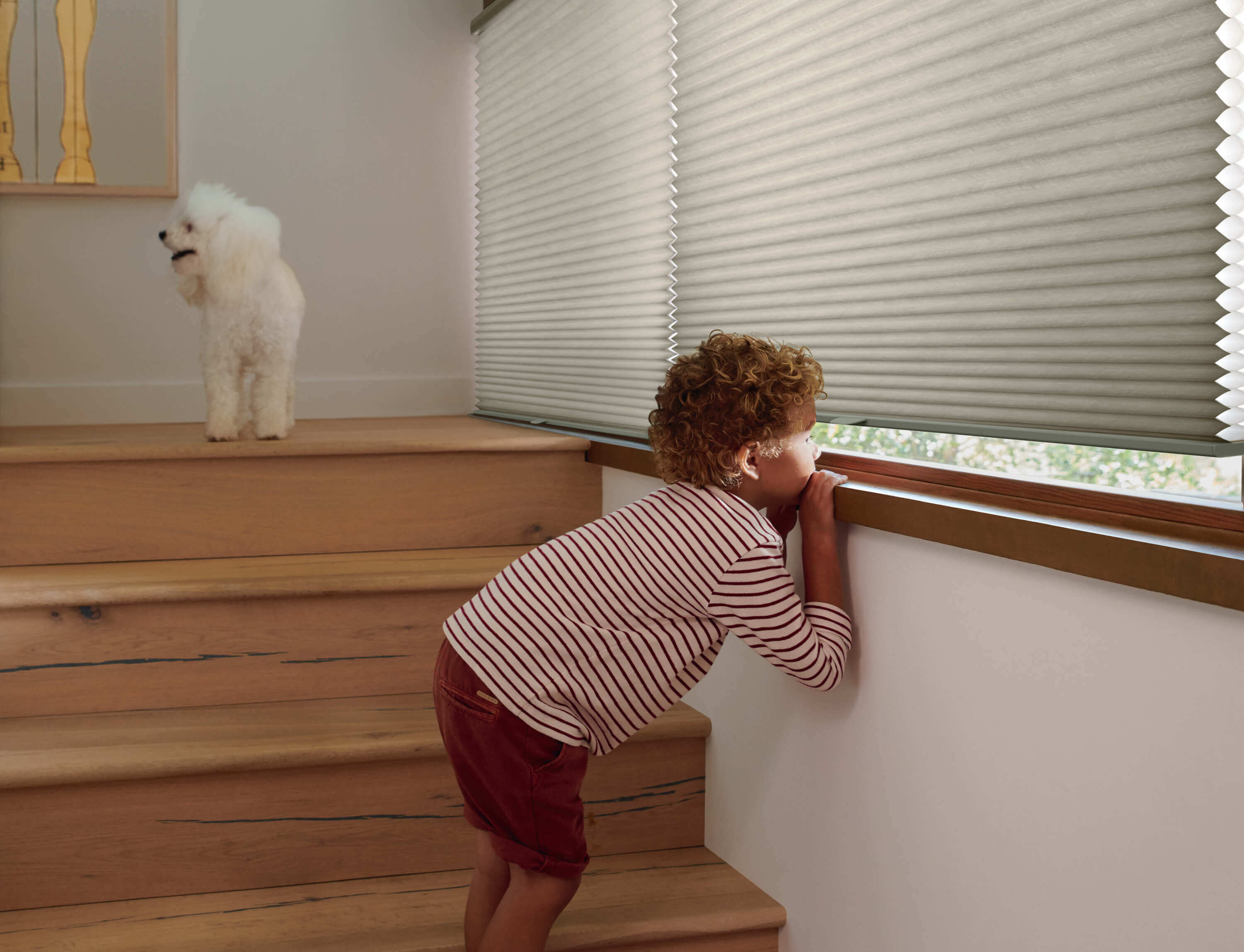 Child Safe Window Treatments - Drapery Street